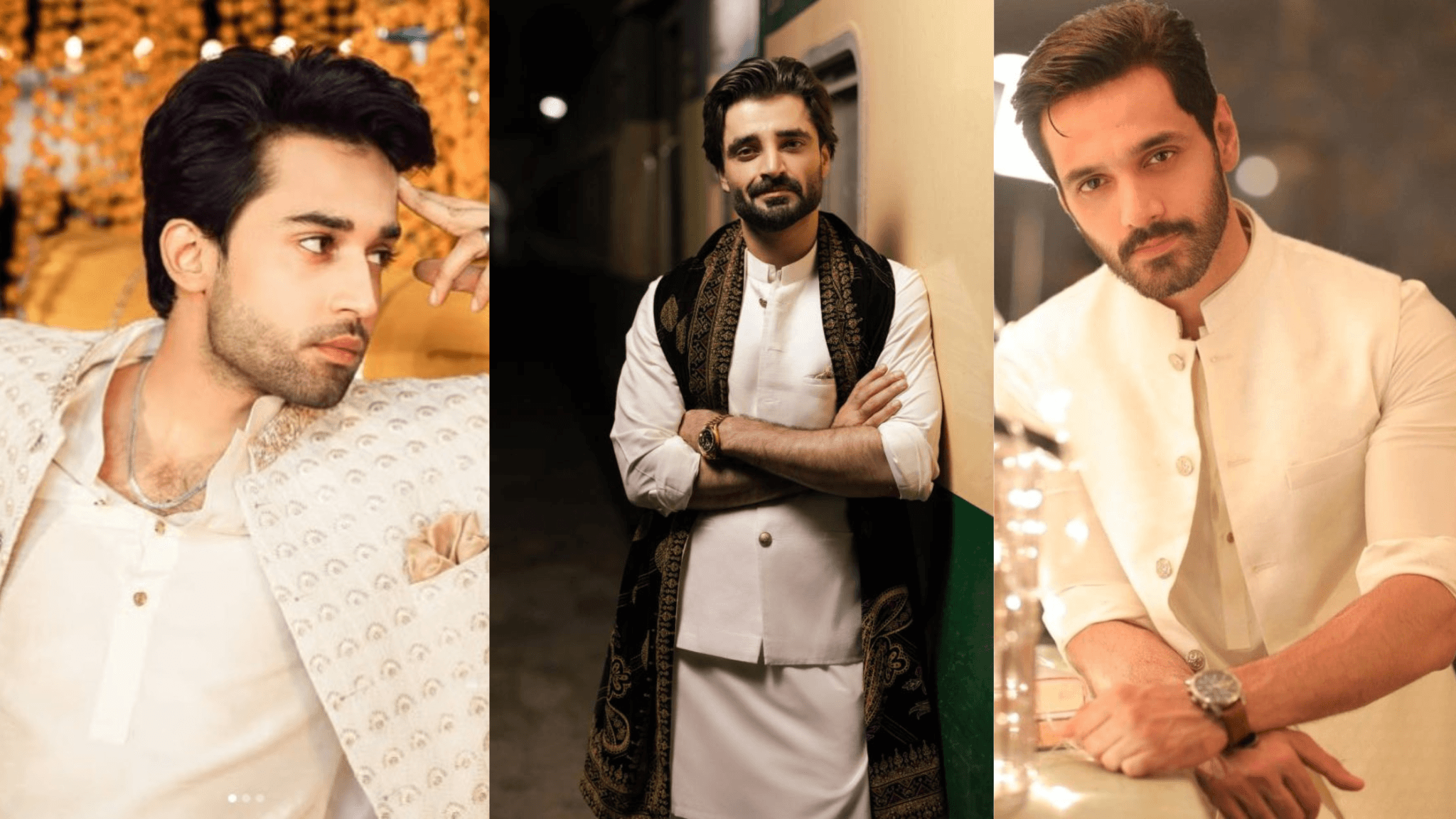 Top 10 Most Famous Pakistani Actors in 2025 (With Net Worth, Date of ...